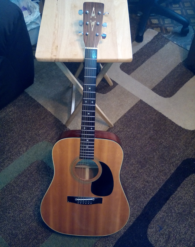 Classic Acoustic Guitar